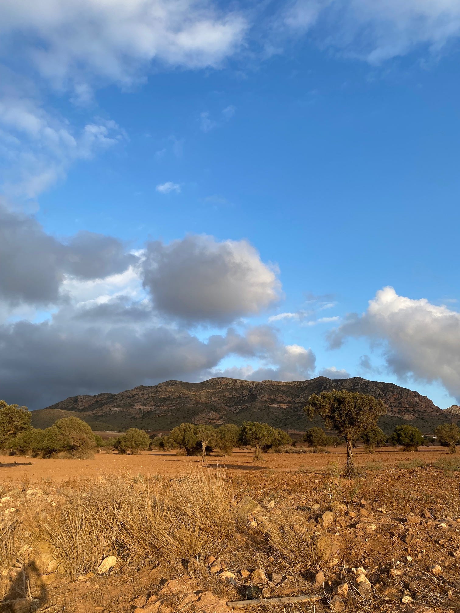 De noche y de negro 🌒 - by Beatriz Serrano - Massolit 101