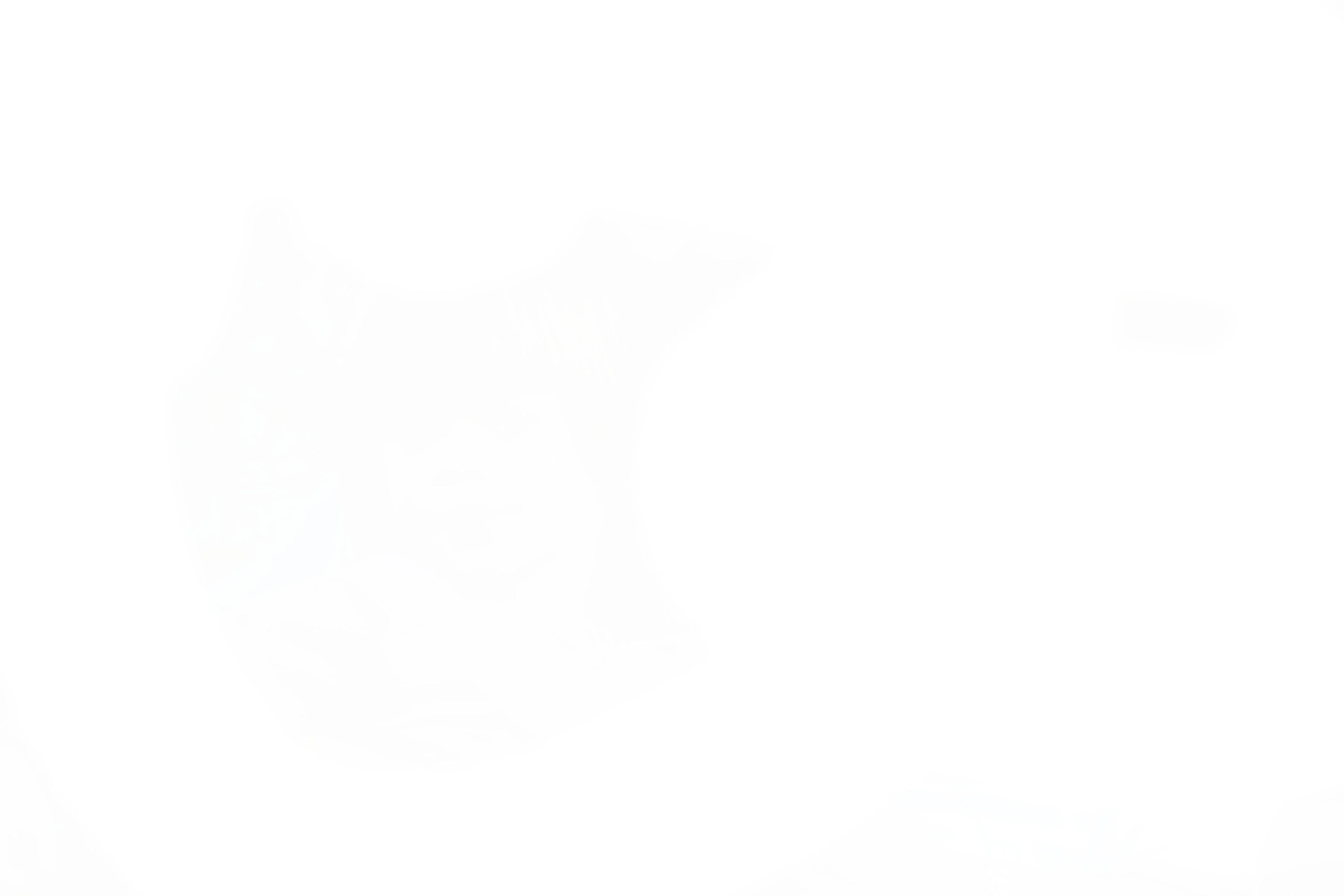 Young Squire | Substack