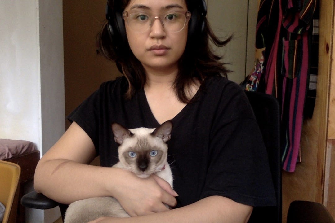 About - hyperfixations