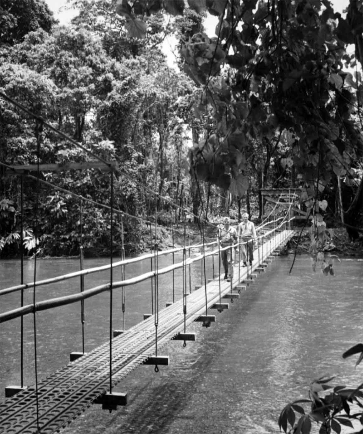 More bloody exchanges on Guadalcanal - by Martin Cherrett