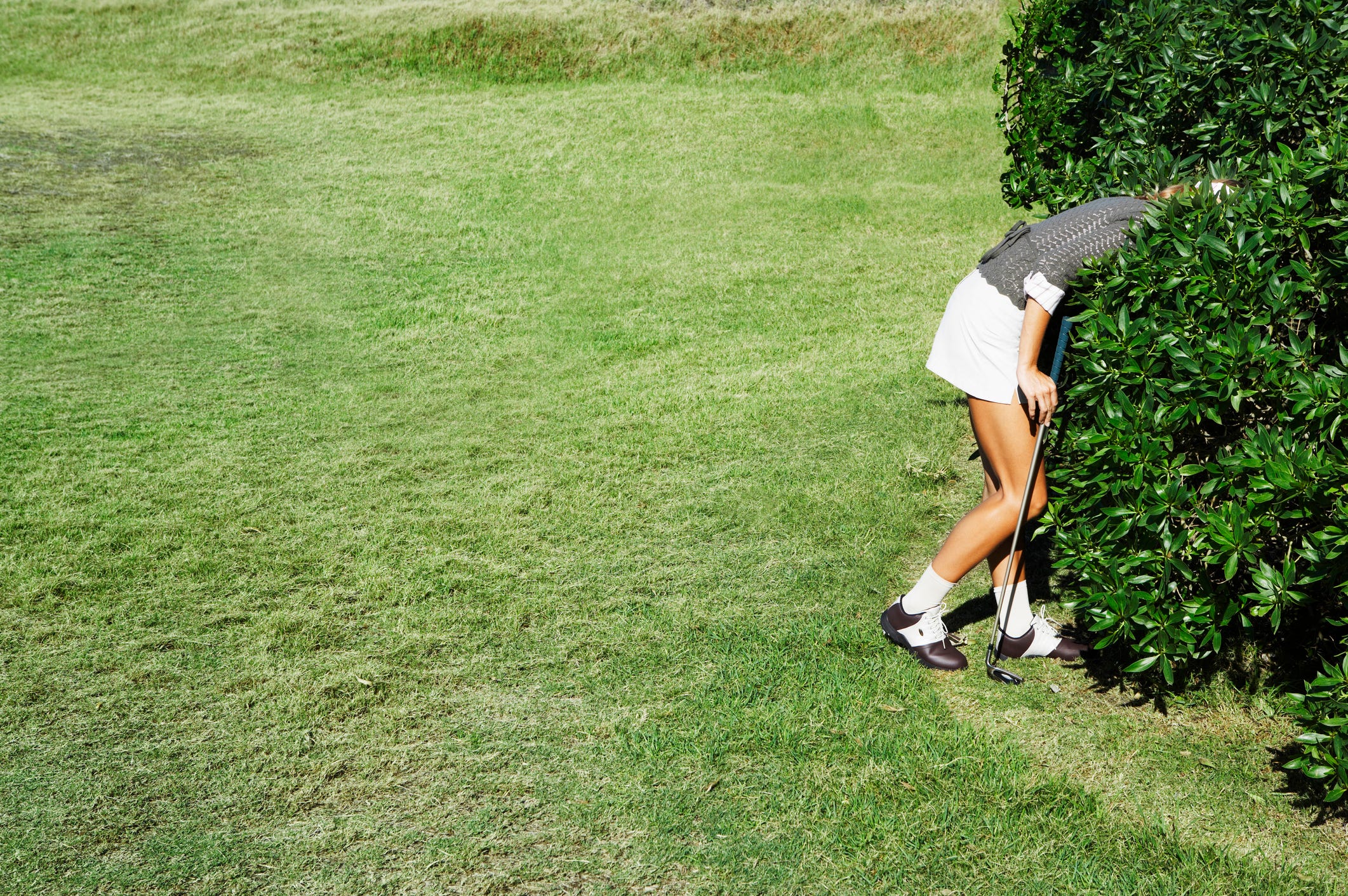 The Philosophy Of Gardens - by Farrah @Substack