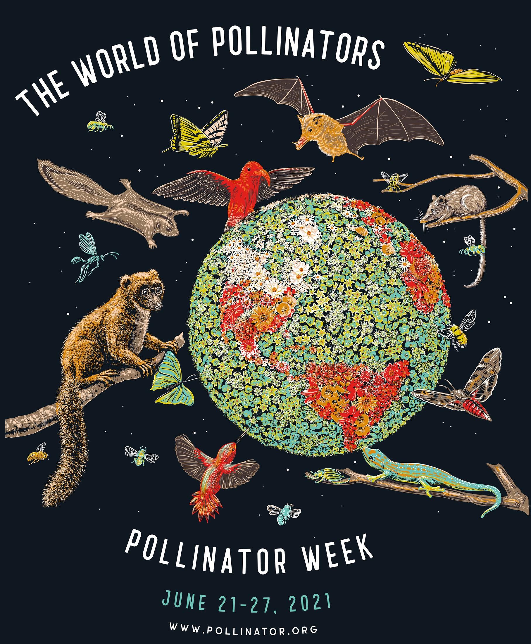 Happy Pollinator Week! - by Tierney Monahan - Beyond Honey