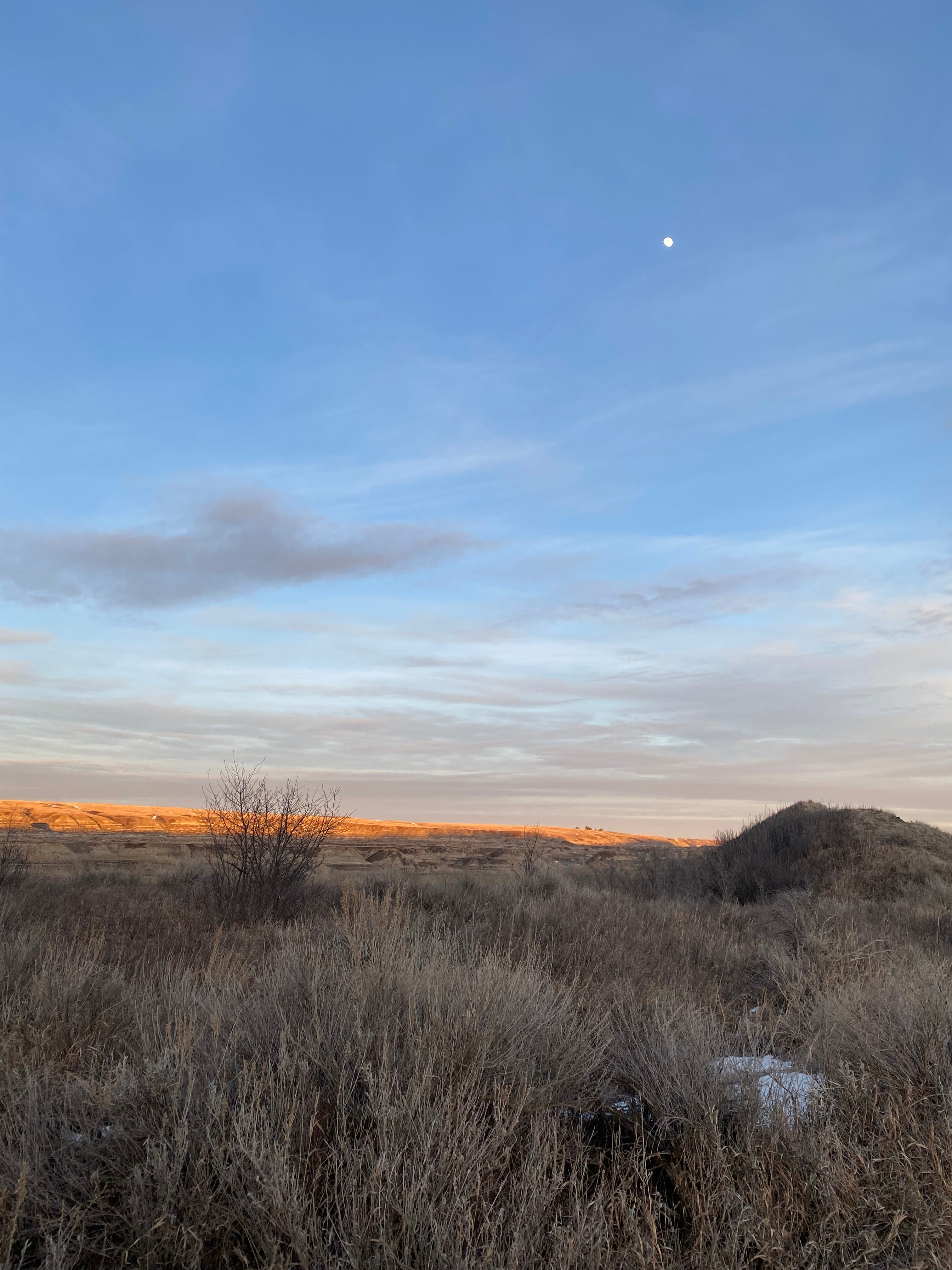 The Big News of the Week - by Monte Solberg - Wonderstruck