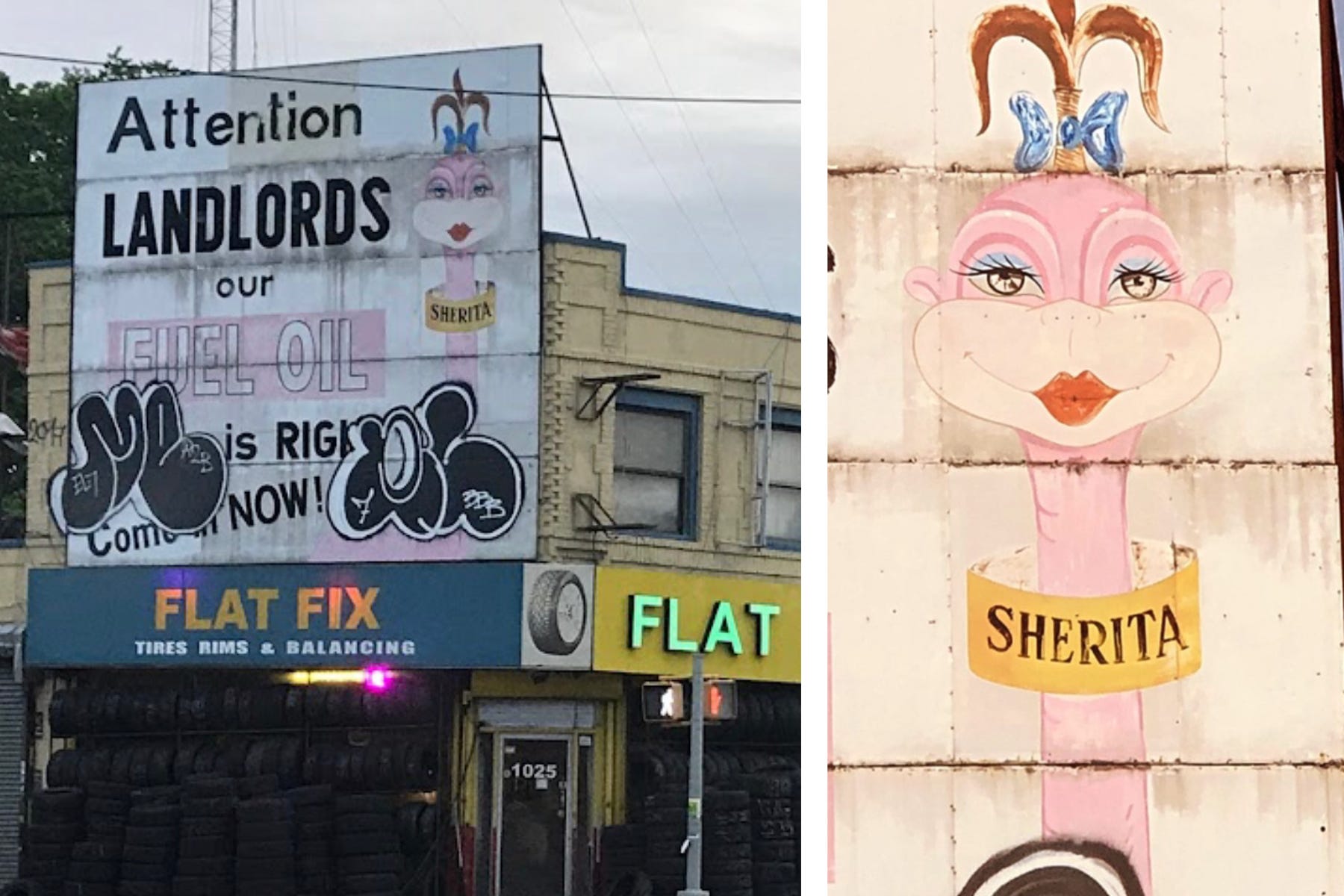 Who is Sherita? A Brooklyn Mystery - by Anne Kadet