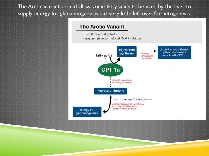 37. Inuit Genetics Show Us Why Evolution Does Not Want Us In Constant ...