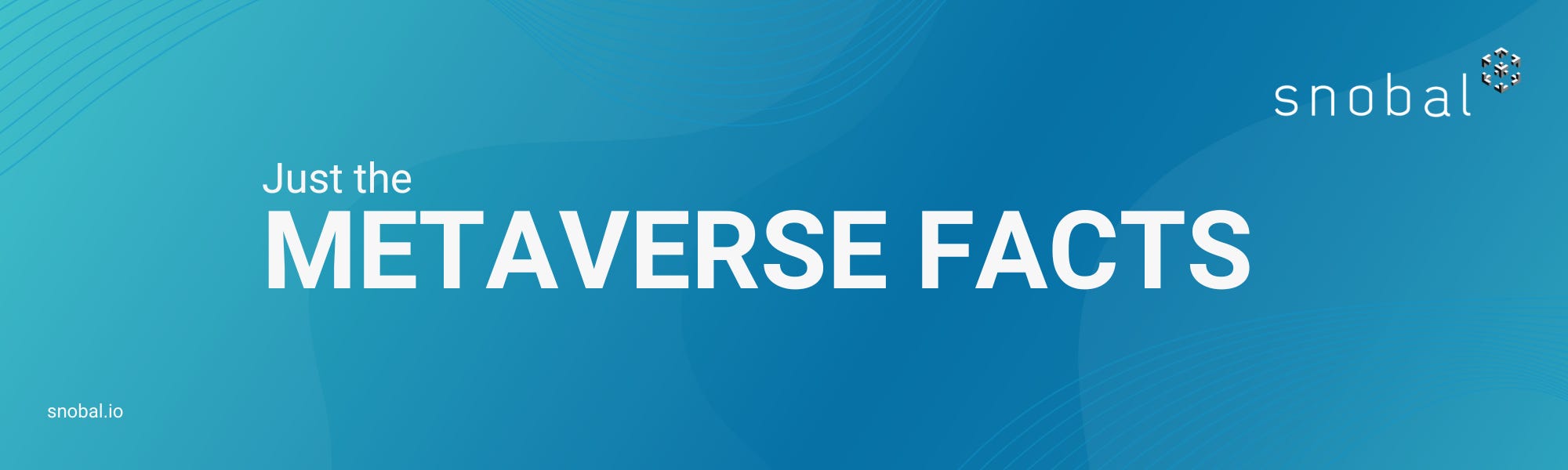 Show me the Facts: What the research says about the "Metaverse"