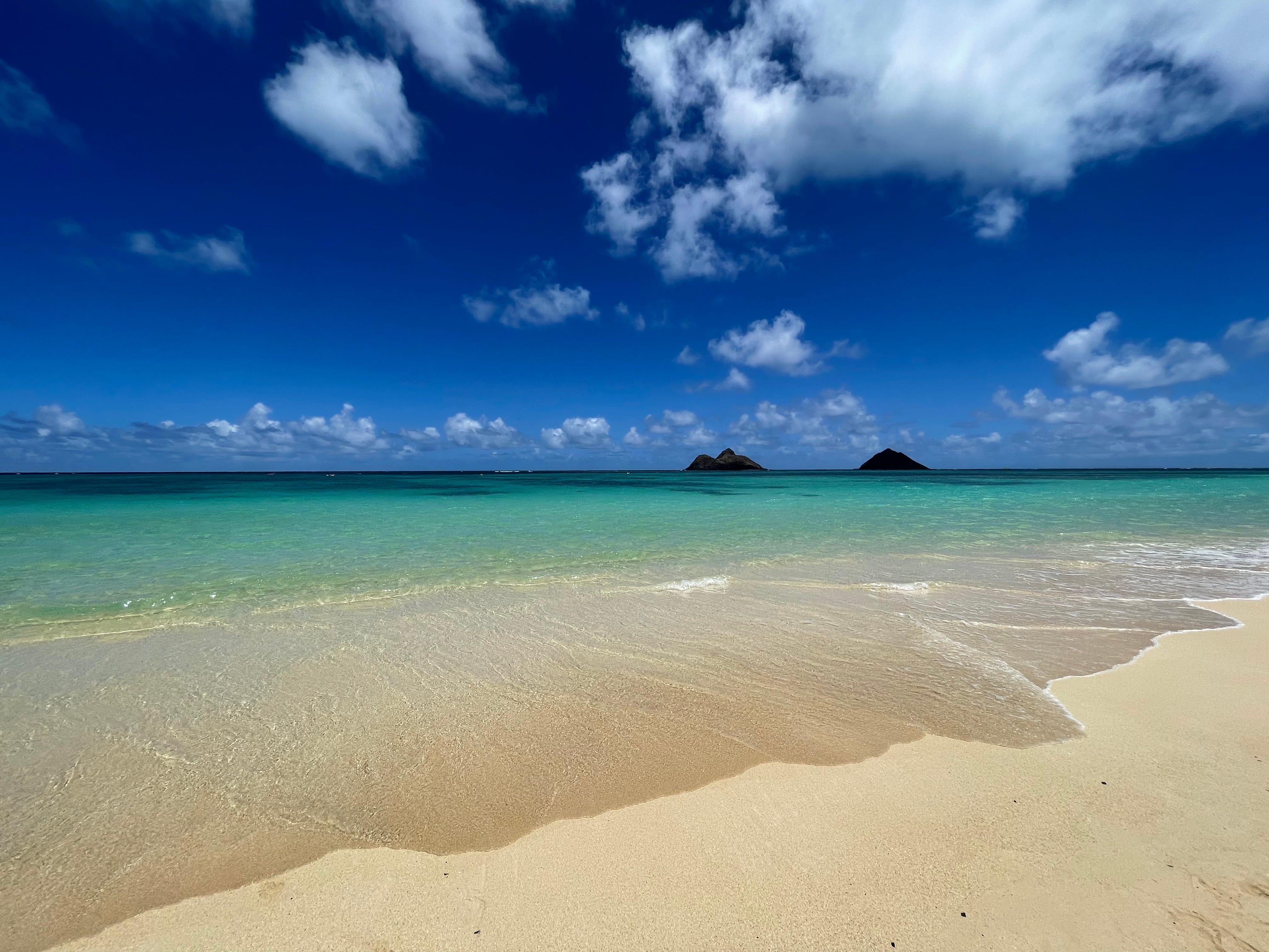 Harry Campbell | Substack