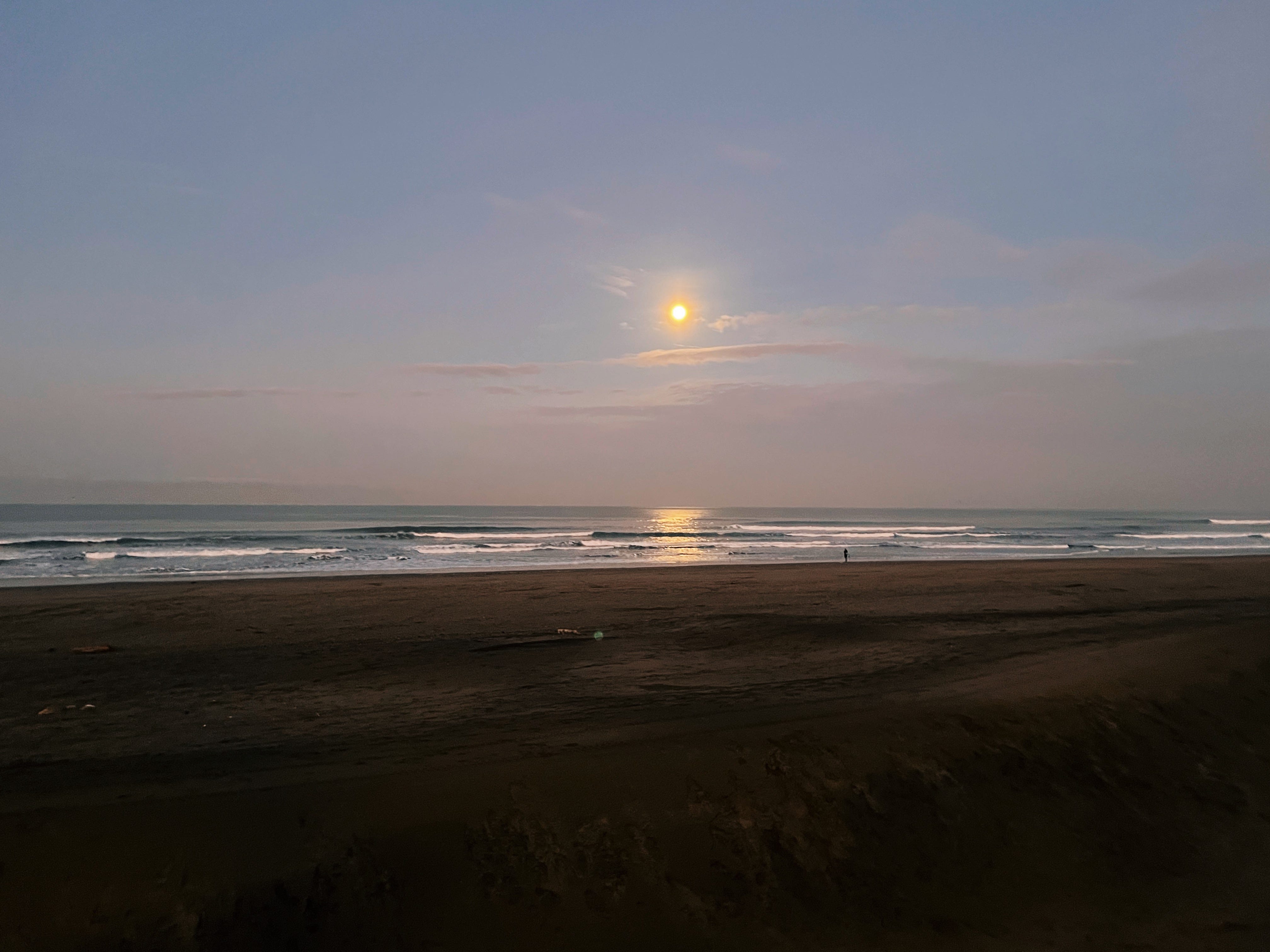 Waiting for paint to dry - by Lindsay Stripling - Earthling