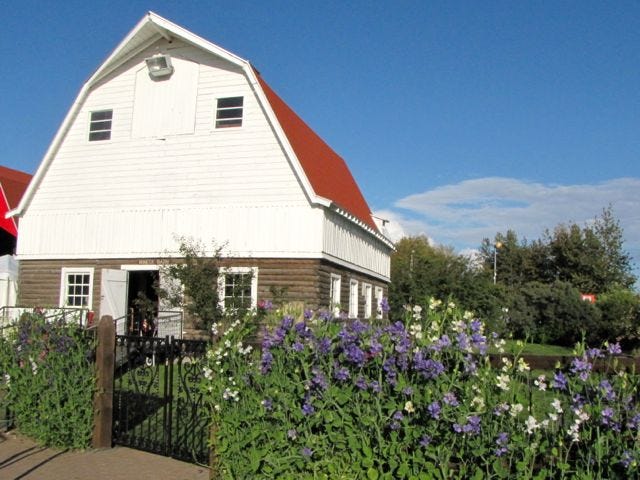 Matanuska Colony Barns - by Helen Hegener