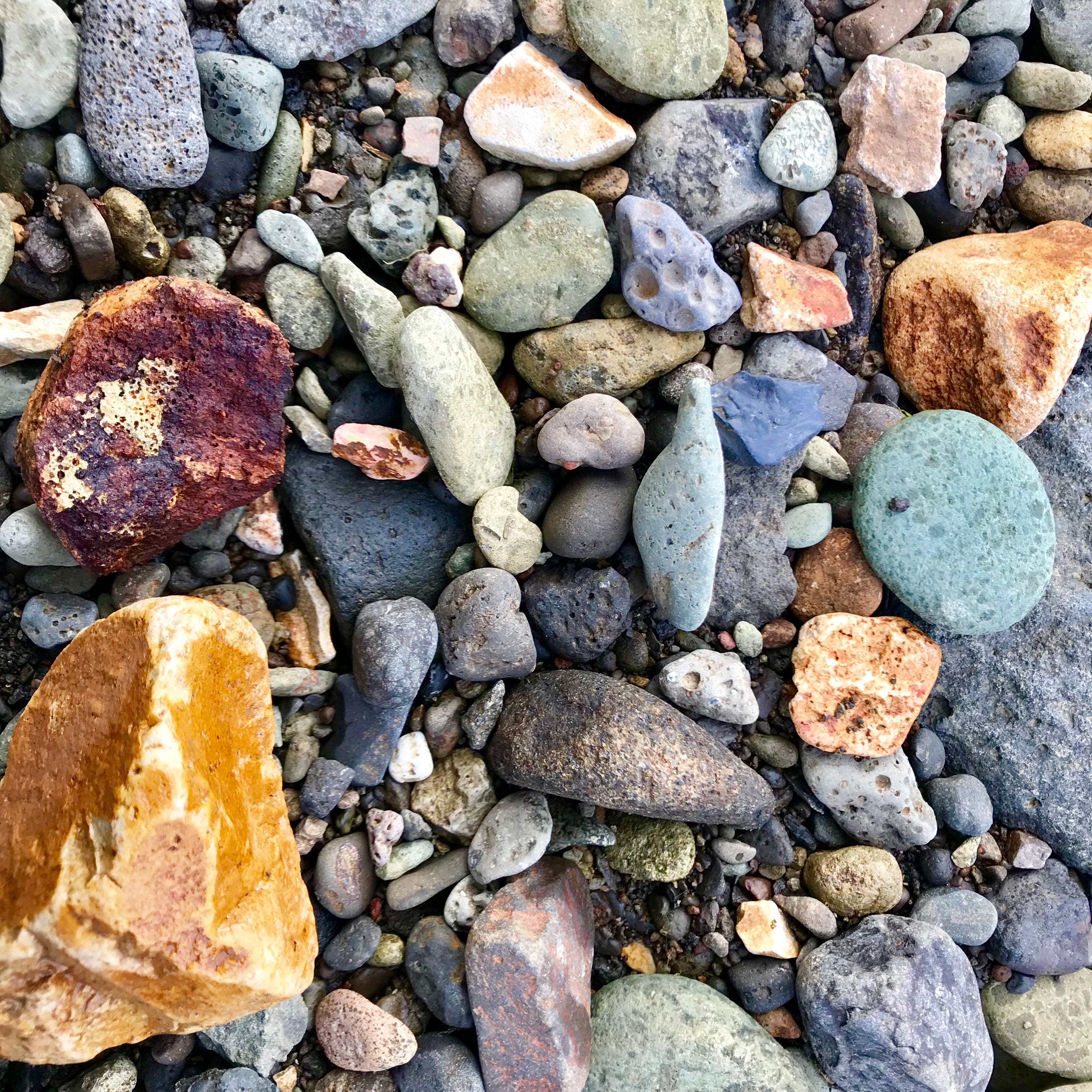 UNSUITABLE - by Caroline Manring