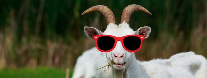 missing my seeing-eye goat - by Harvard2TheBigHouse