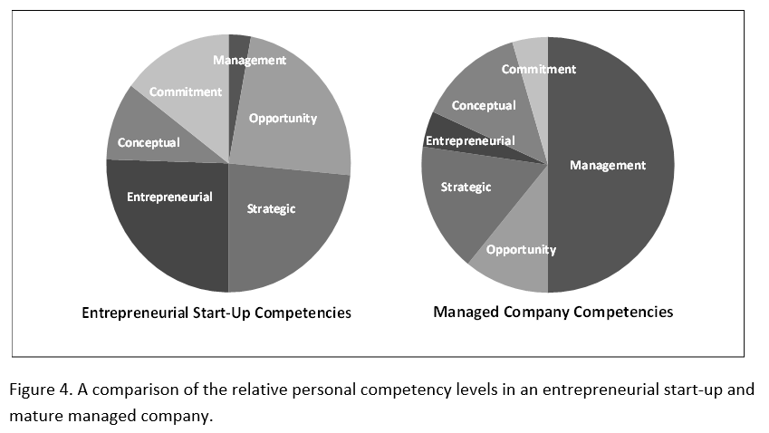 Skills, personal competencies and enterprise capabilities throughout ...