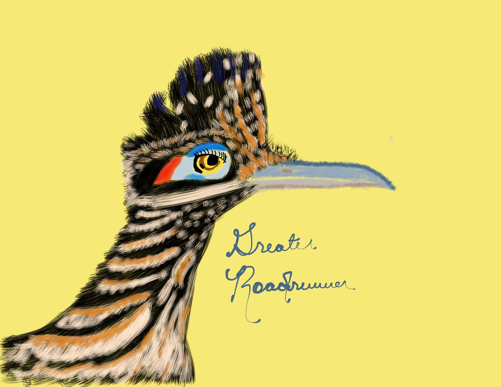 120: Greater Roadrunner - by Bix - Colorado Wildlife