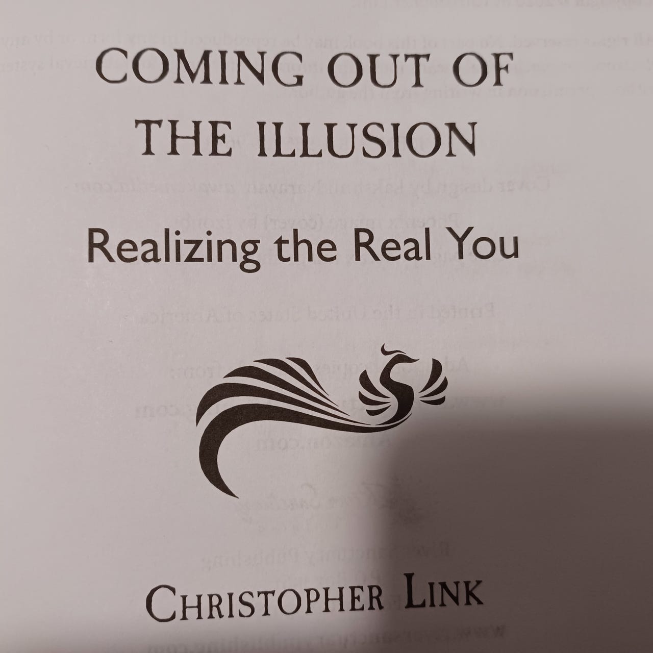 AWAKENING: - by Christopher Link