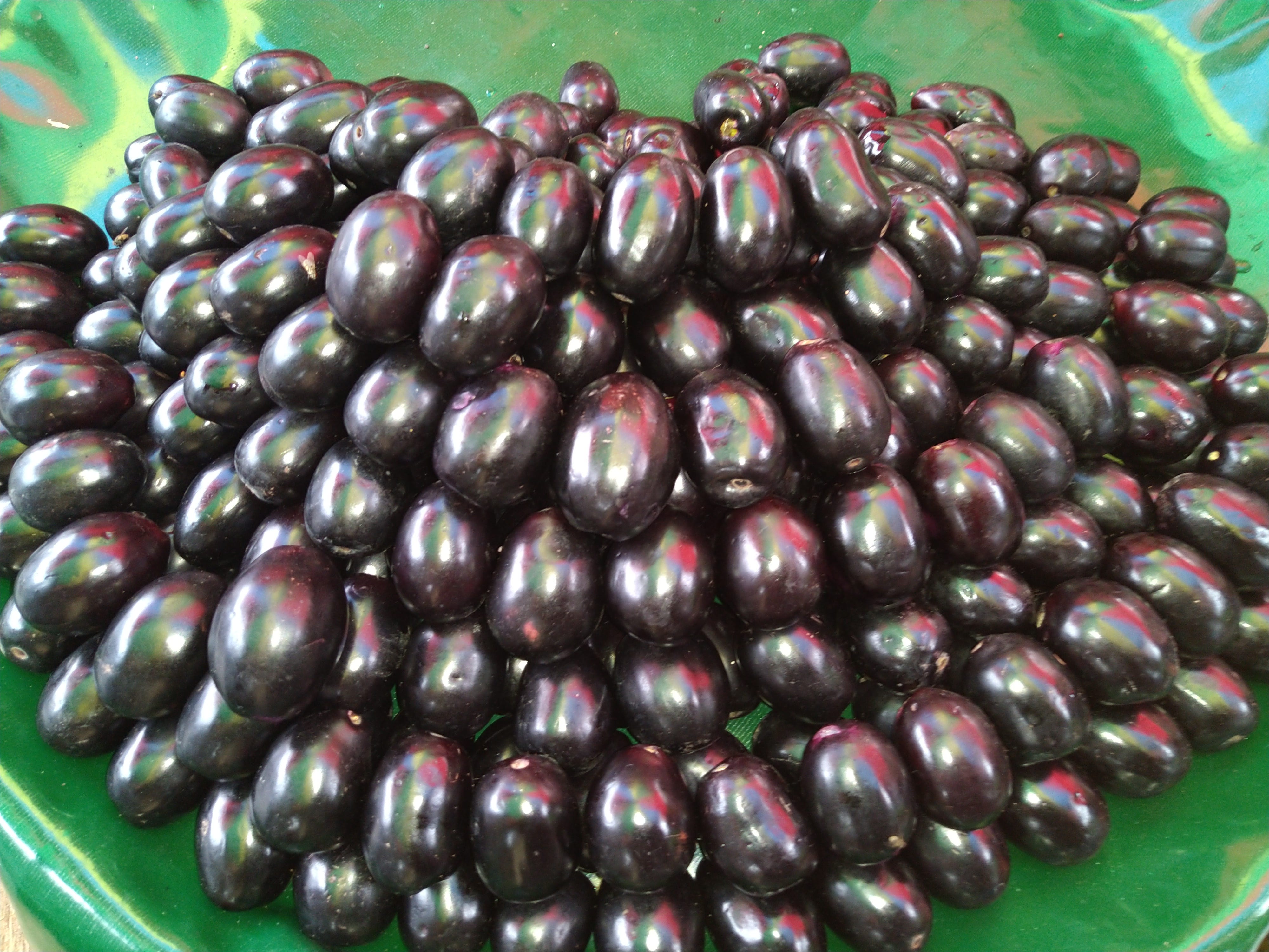 The popular Indian summer fruit, Jamun - by Giridhar Pai