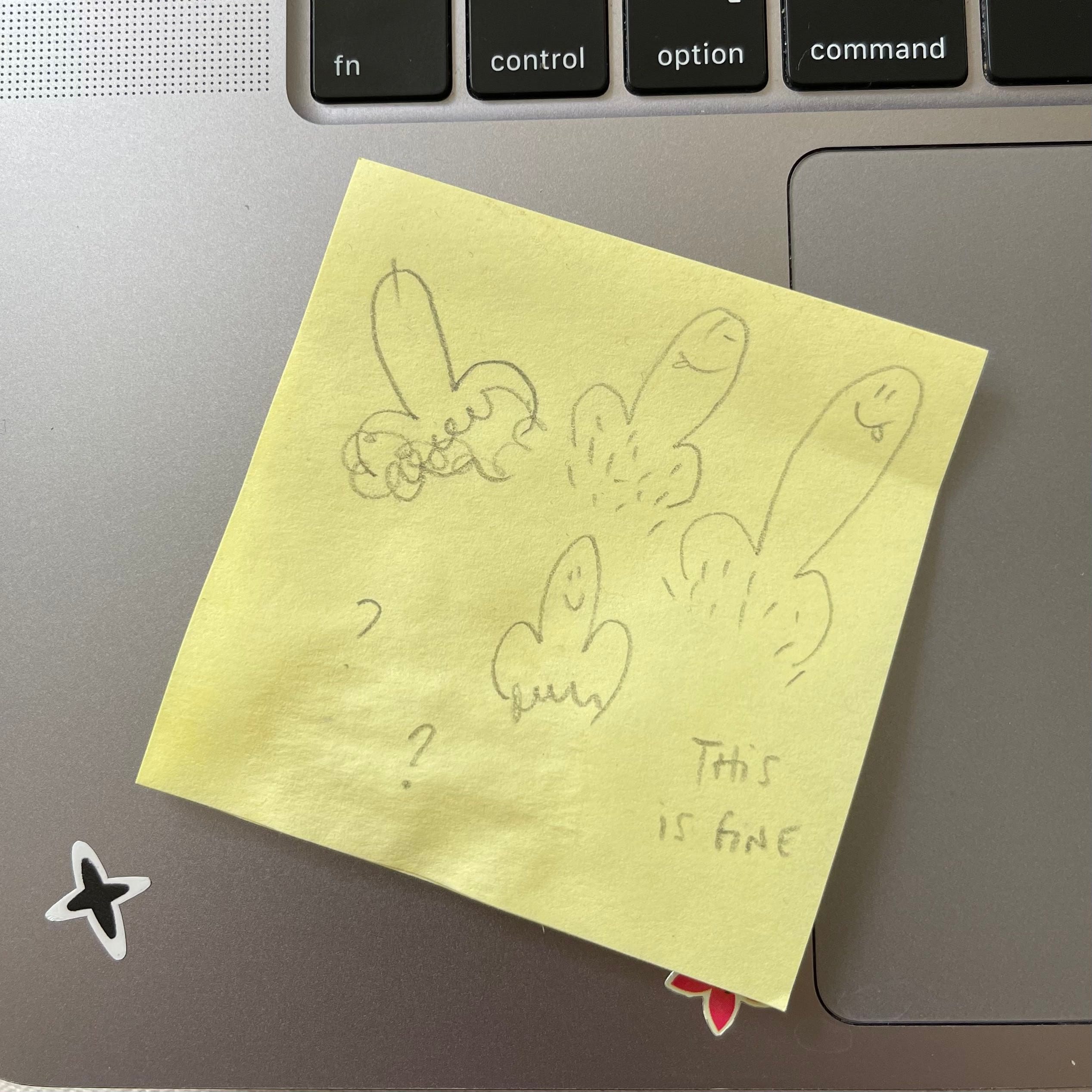 Tim - Flor’s Journal