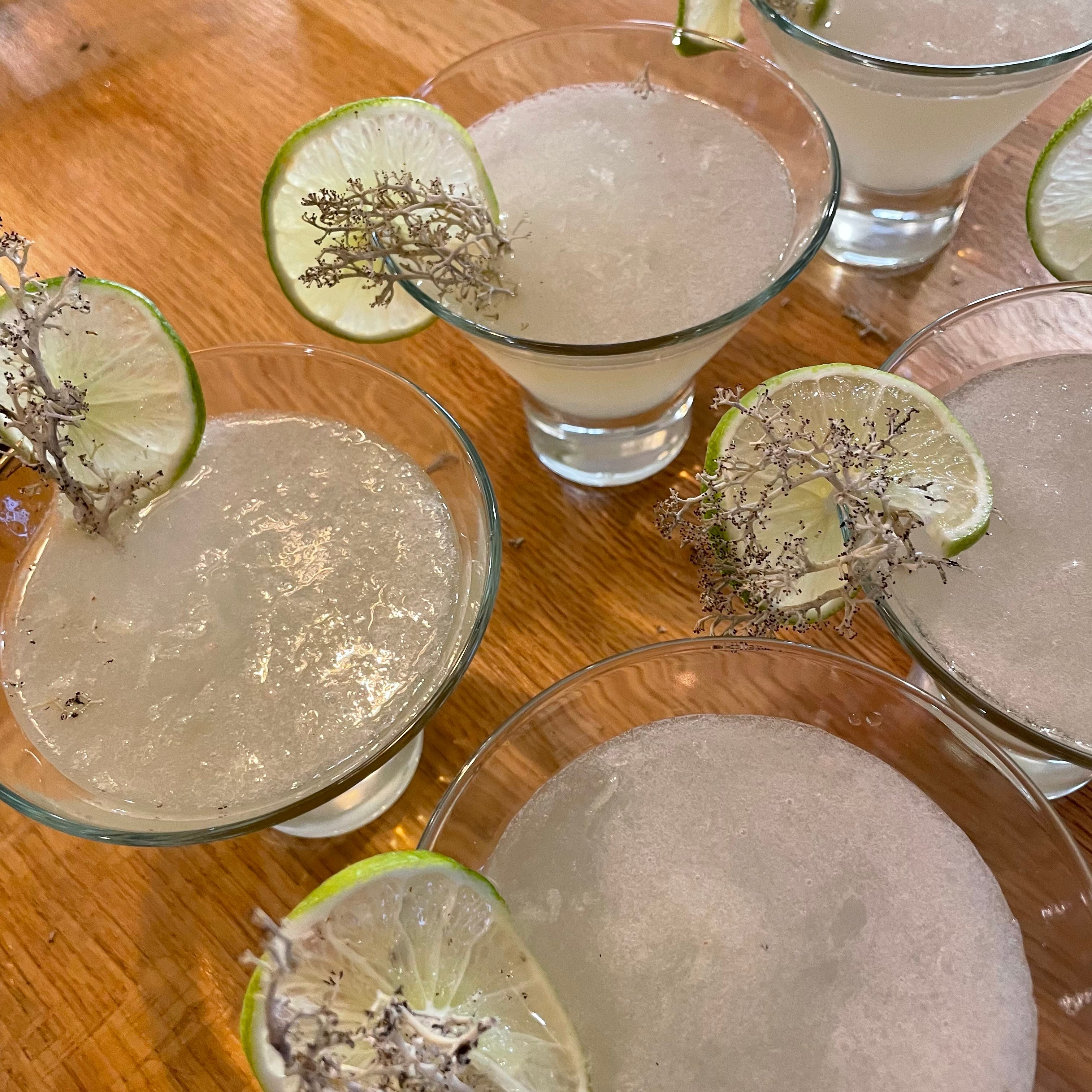 Spruce-Infused Cocktail and Mocktail - by June Jacobson