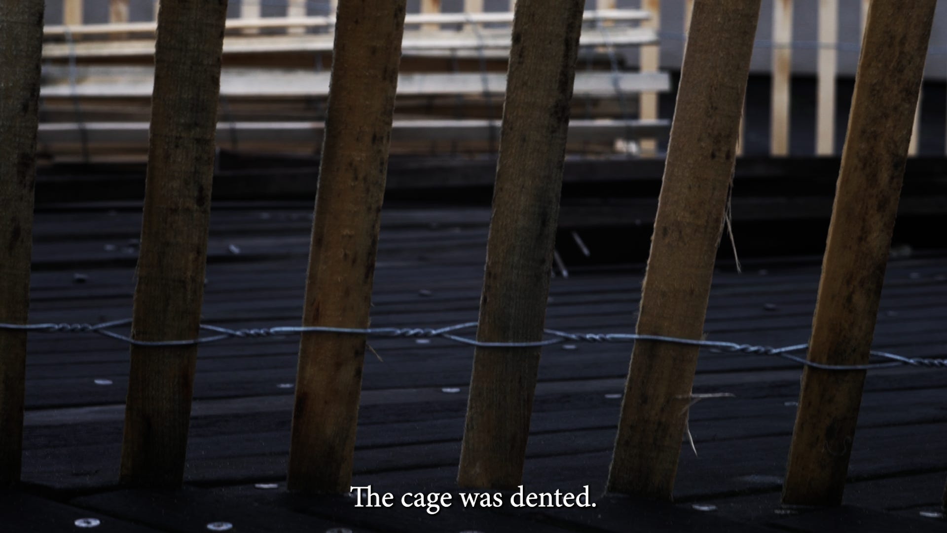 Dry Beach: The Photobook - by Dane Benko