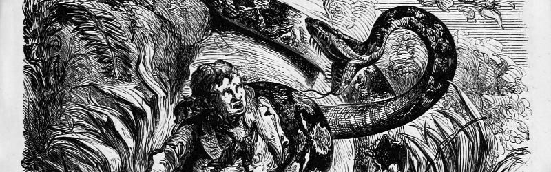 Beithir the Lightning Serpent - by A.C. Luke - Mythoi