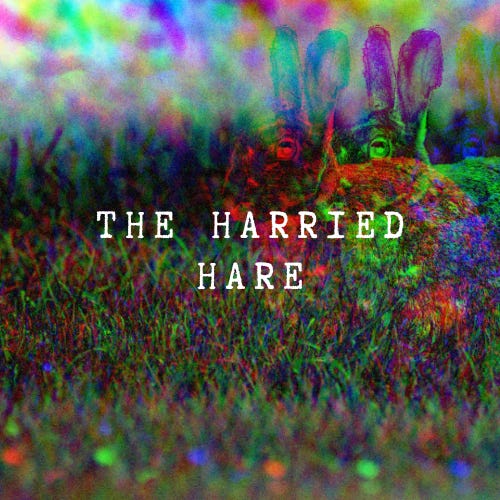 THE HARRIED HARE - by David Pierce Jones