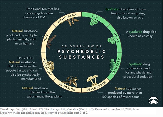 Musings on Psychedelic Medicines - by Amanda M. Cardinale