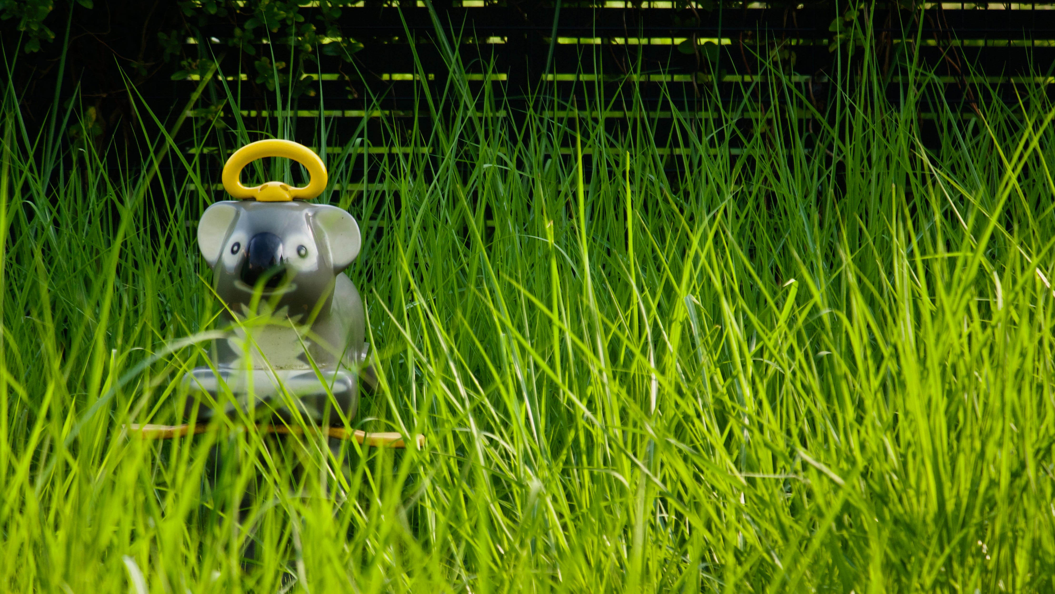 Just Getting Started - by Joel Neff - 91 Days