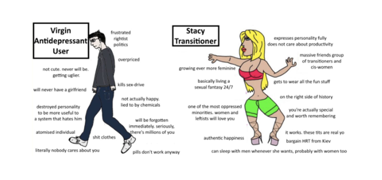 Transmaxxing: the Incel-To-Transwoman Pipeline