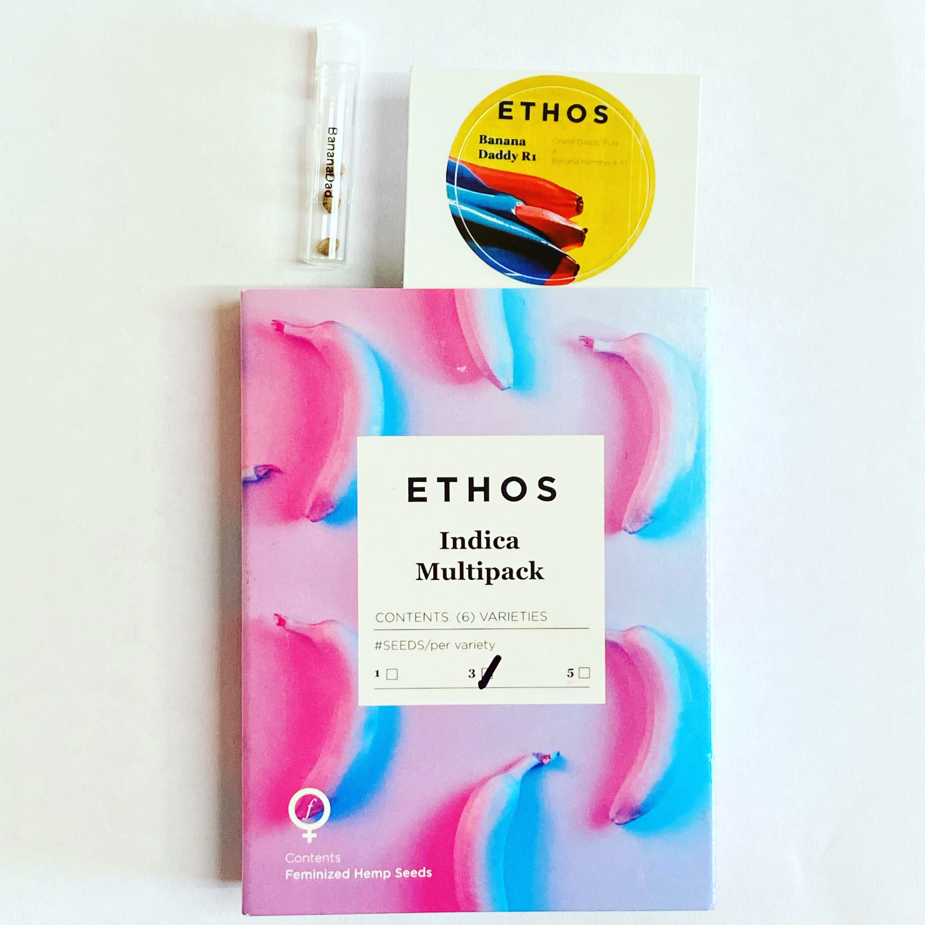 Seed Germination 101 - by Ben Owens 🌱 - The Hobby Grow