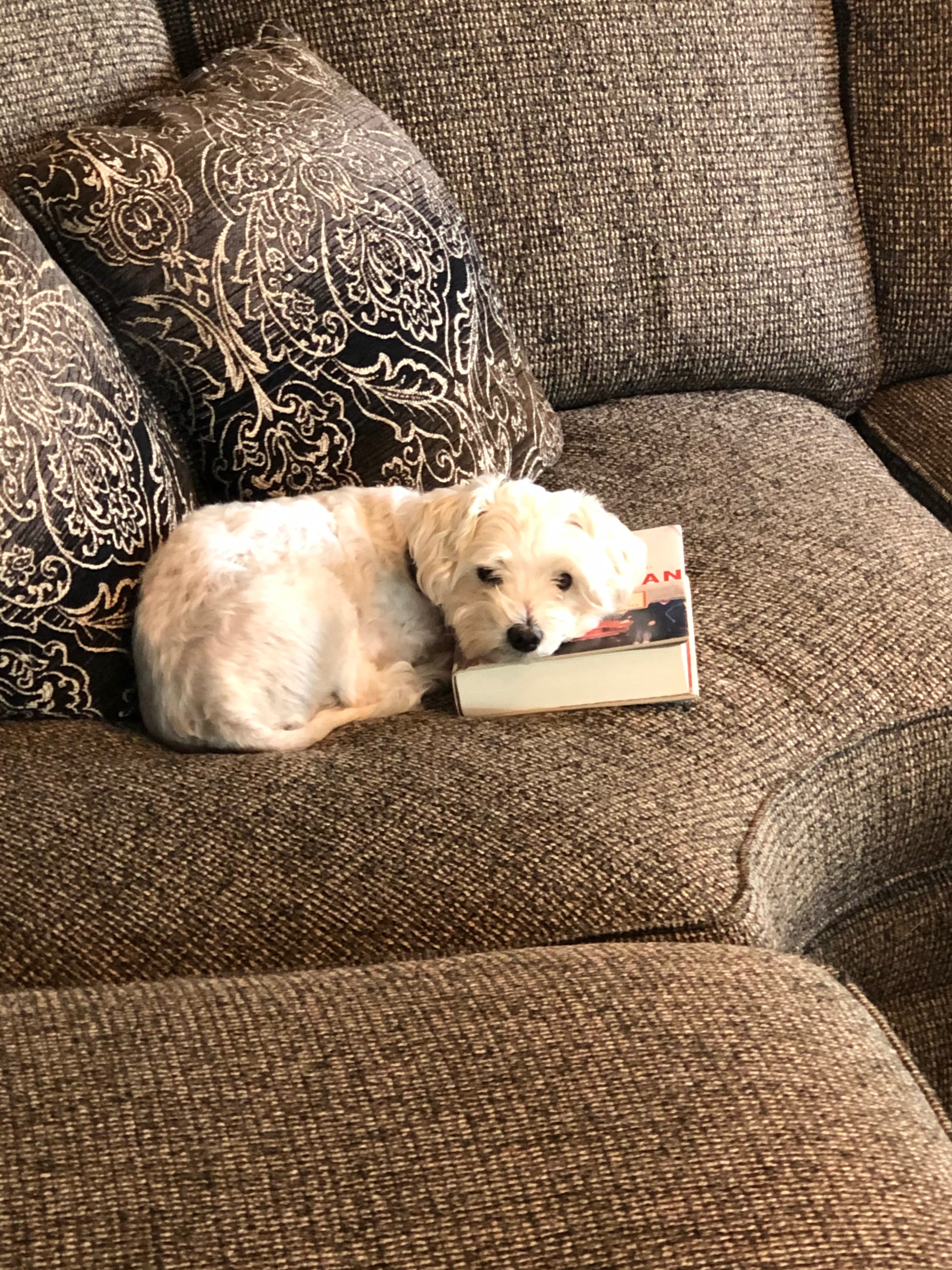 Jodi Lessner | Substack