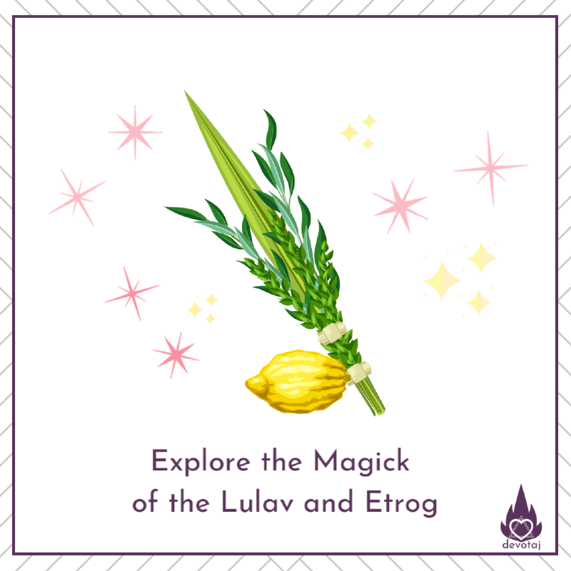 Lulav & Etrog - by Ketzirah haMa’agelet