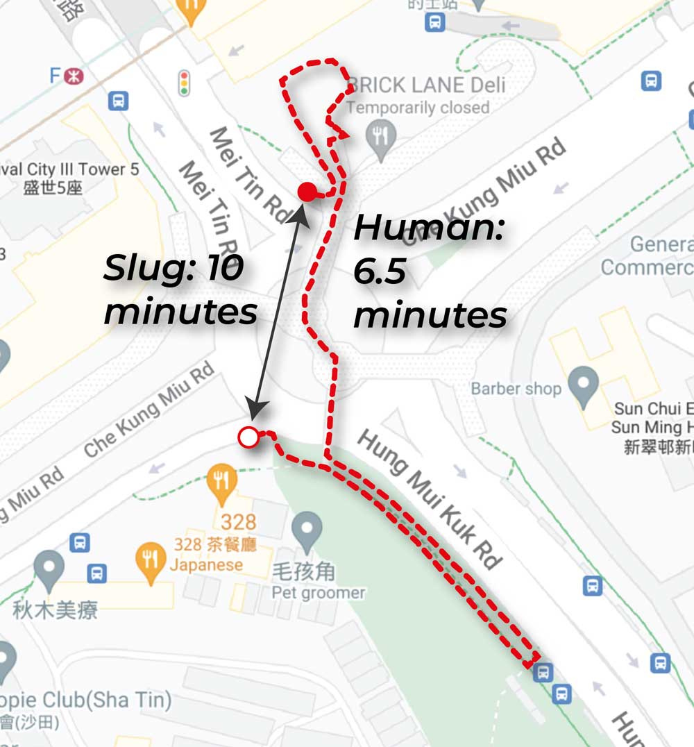 Octopus Bridge demolition highlights theft of public space