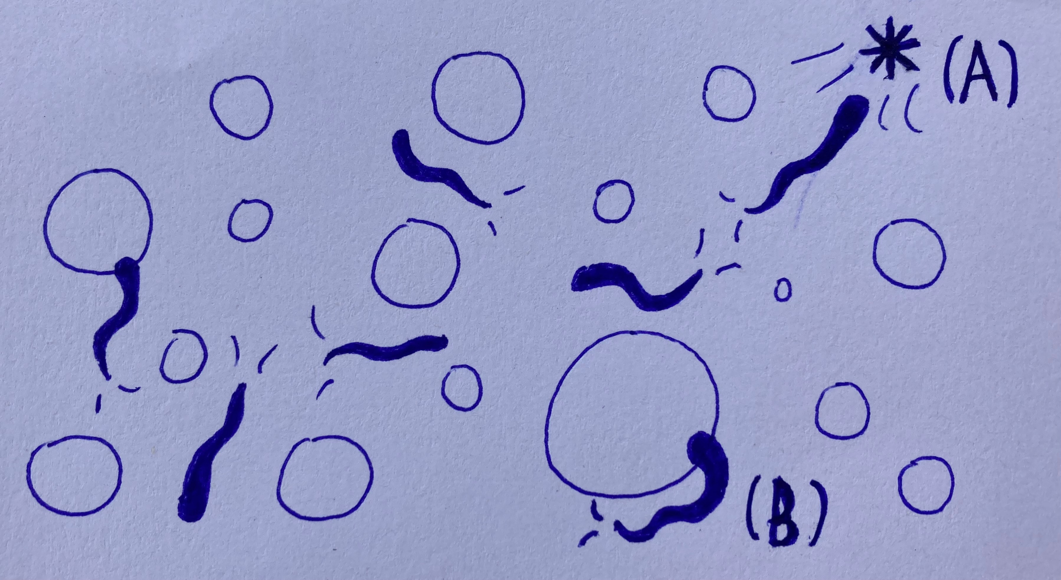 The Heterarchy - by Reiman Bledsoe - Light & Shadows