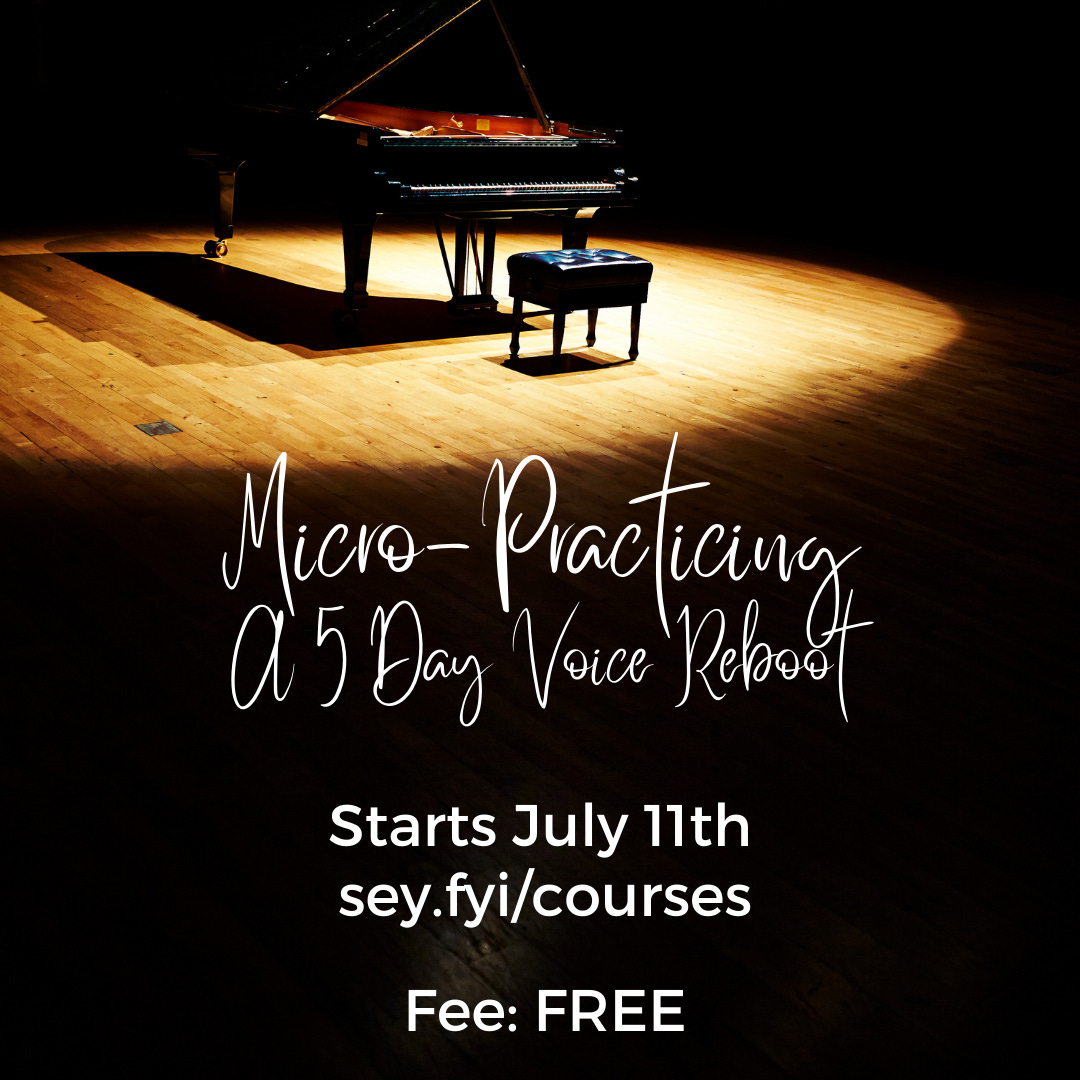 What is Micro-Practicing? - by Susan Eichhorn Young