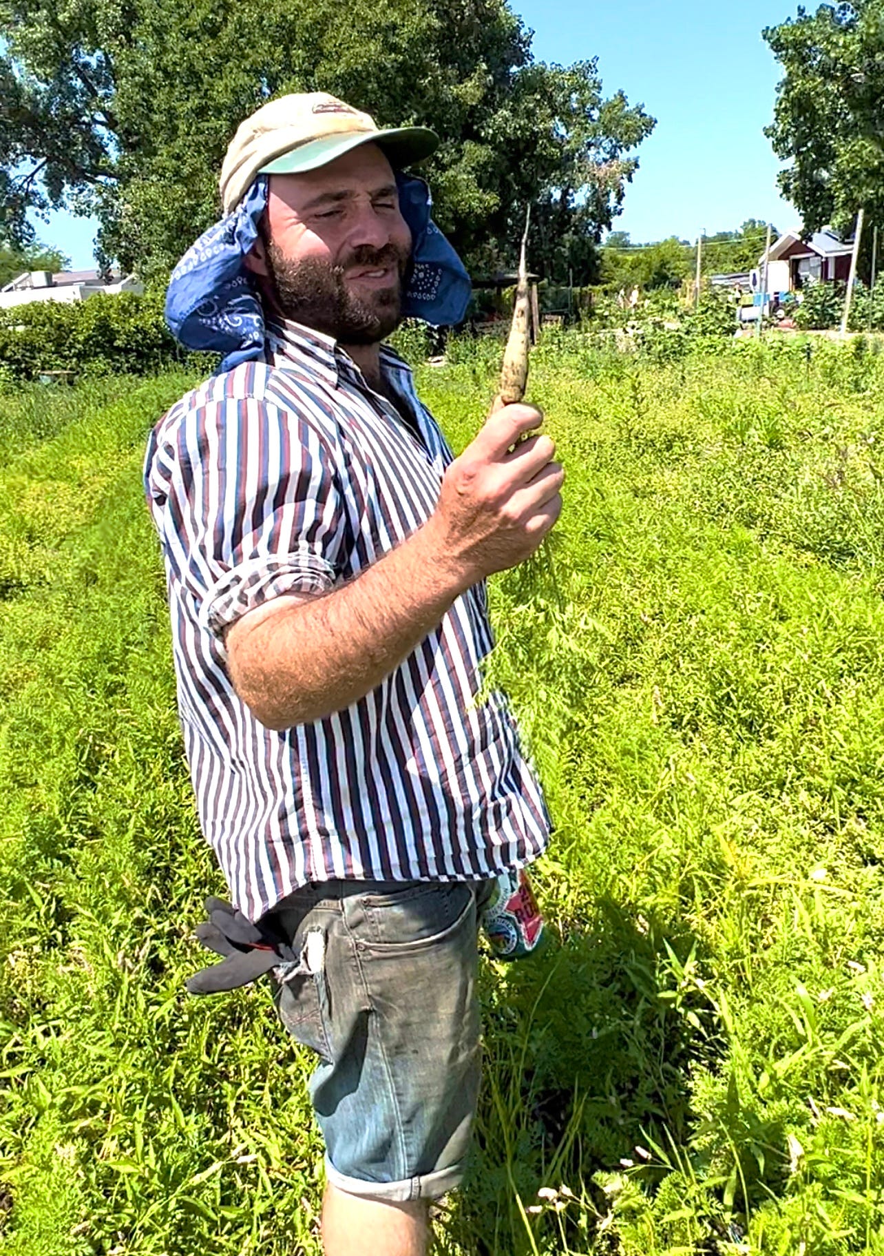 Talking 'Bout The Talking Farm - by Bob Benenson