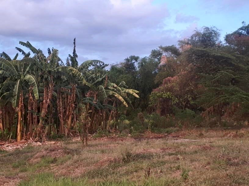 Tone Glow 019: Micaela Tobin - Tone Glow