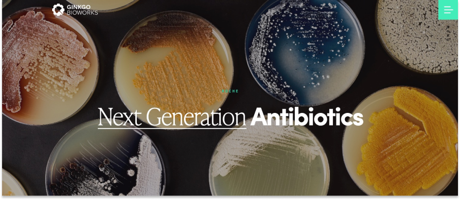 Ginkgo Bioworks: The Organism Company