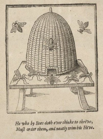What's with the bees? - by Jillian Hess - Noted