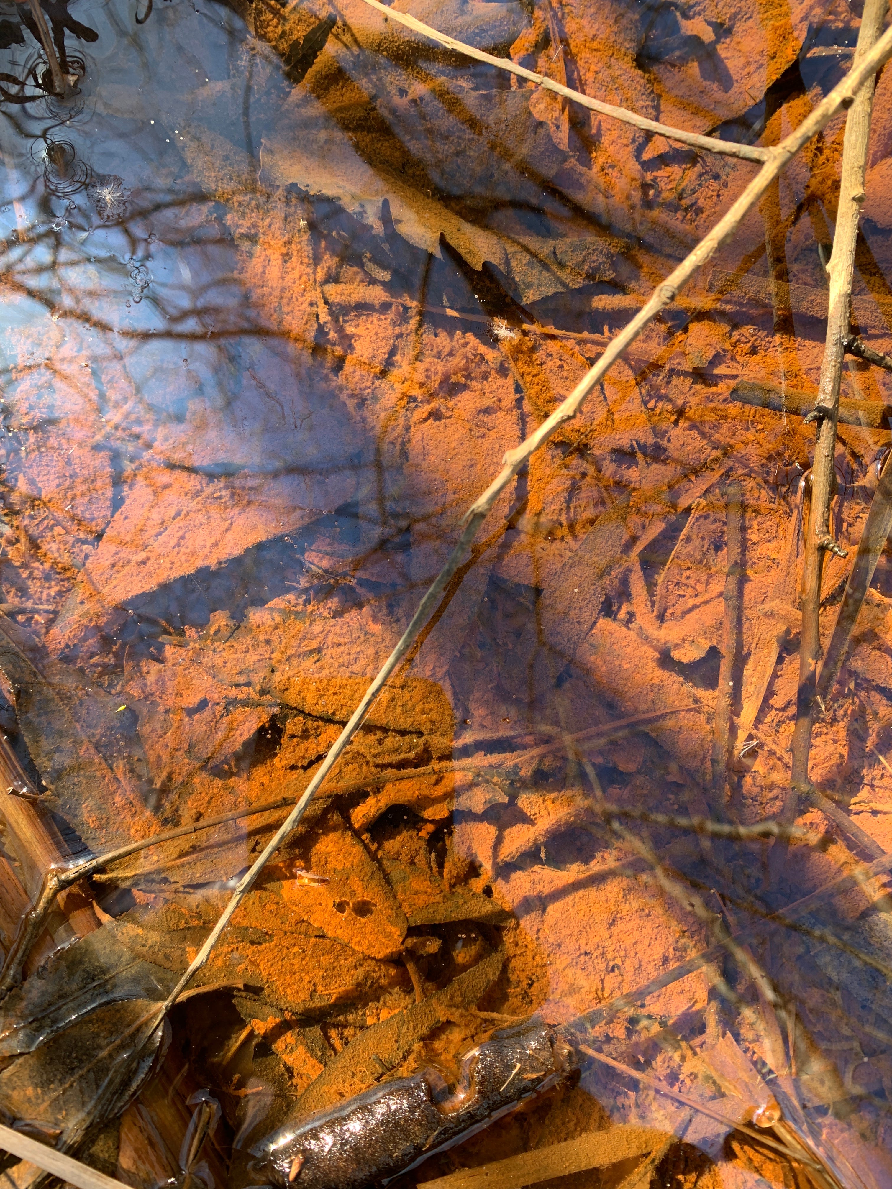 The City in the City - by Toronto Ink Company