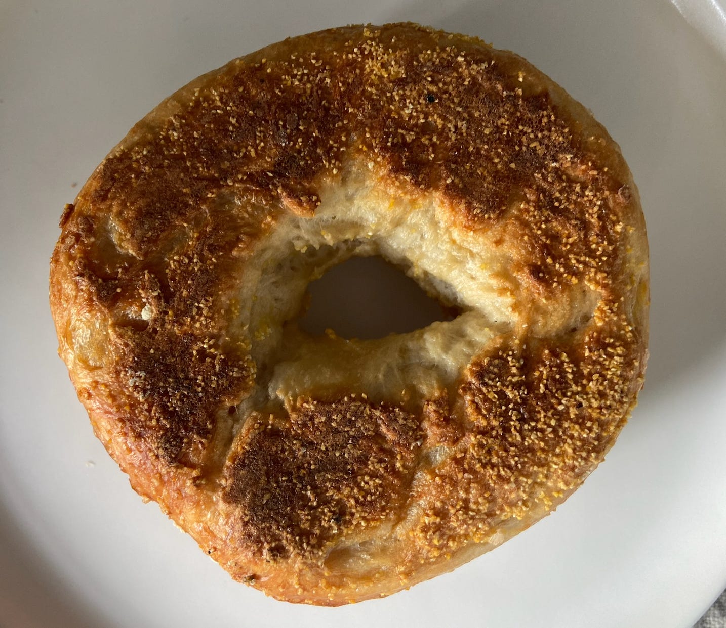 Can I find a good Seattle bagel at... Old Salt Fish & Bagels?