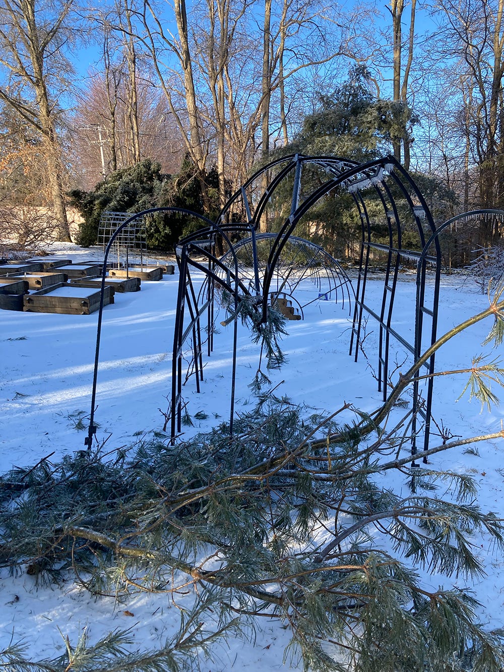 The Sad Garden, Part 2 - by J. M. Elliott - Glenshee