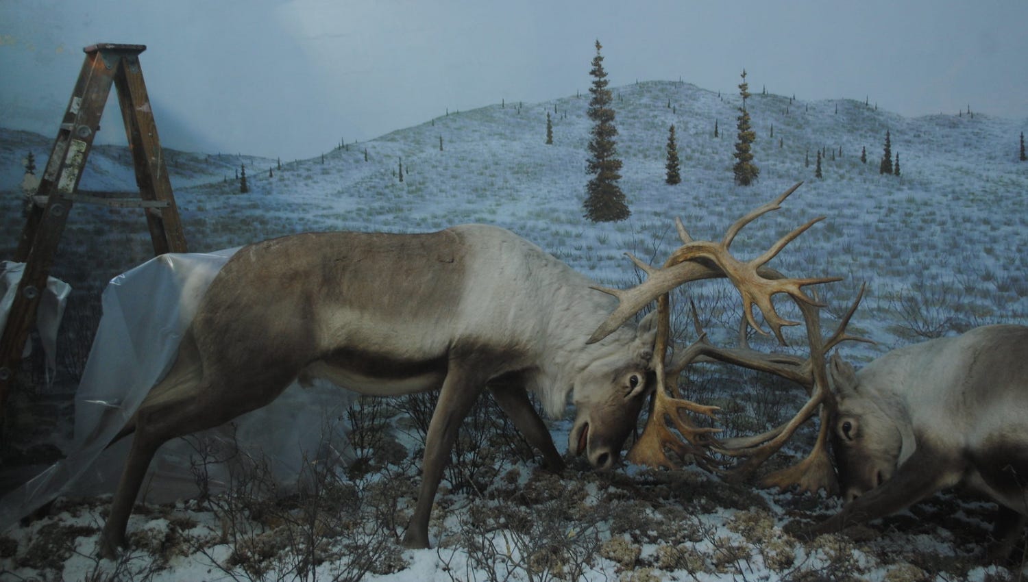 SCARY COOL SAD GOODBYE 18 - by Meaghan Garvey