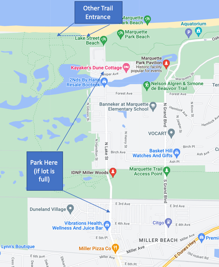 The Top Miller Beach Dune Hike: "Miller Woods"