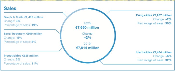 BASF 2020 Annual Report Analysis - by Shane Thomas