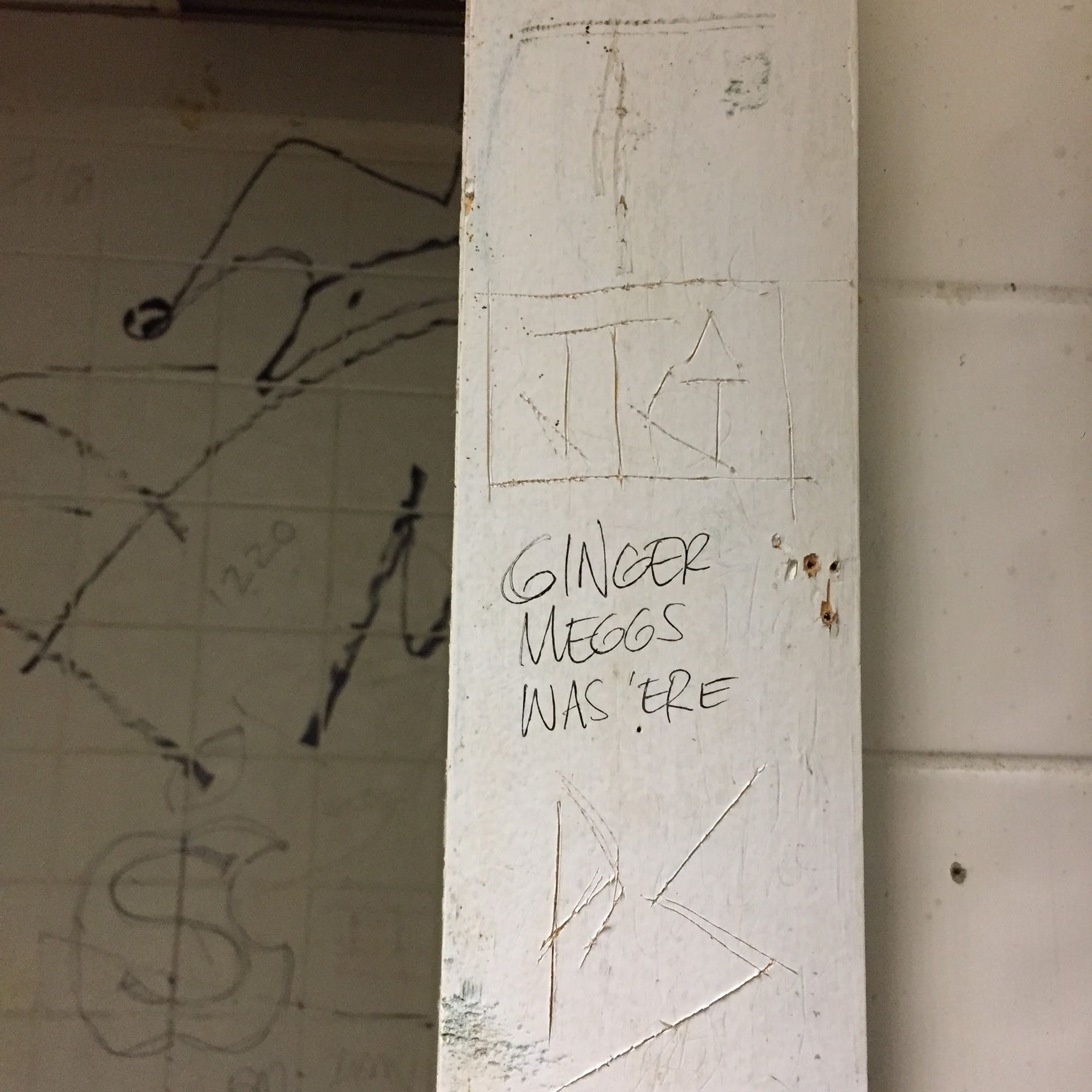 #11: Leaving New York to do Comedy During the 2016 Trump/Clinton Election.