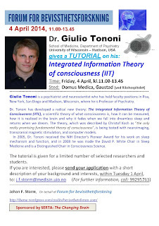 Integrated Information Theory: The Cartesian Foundation