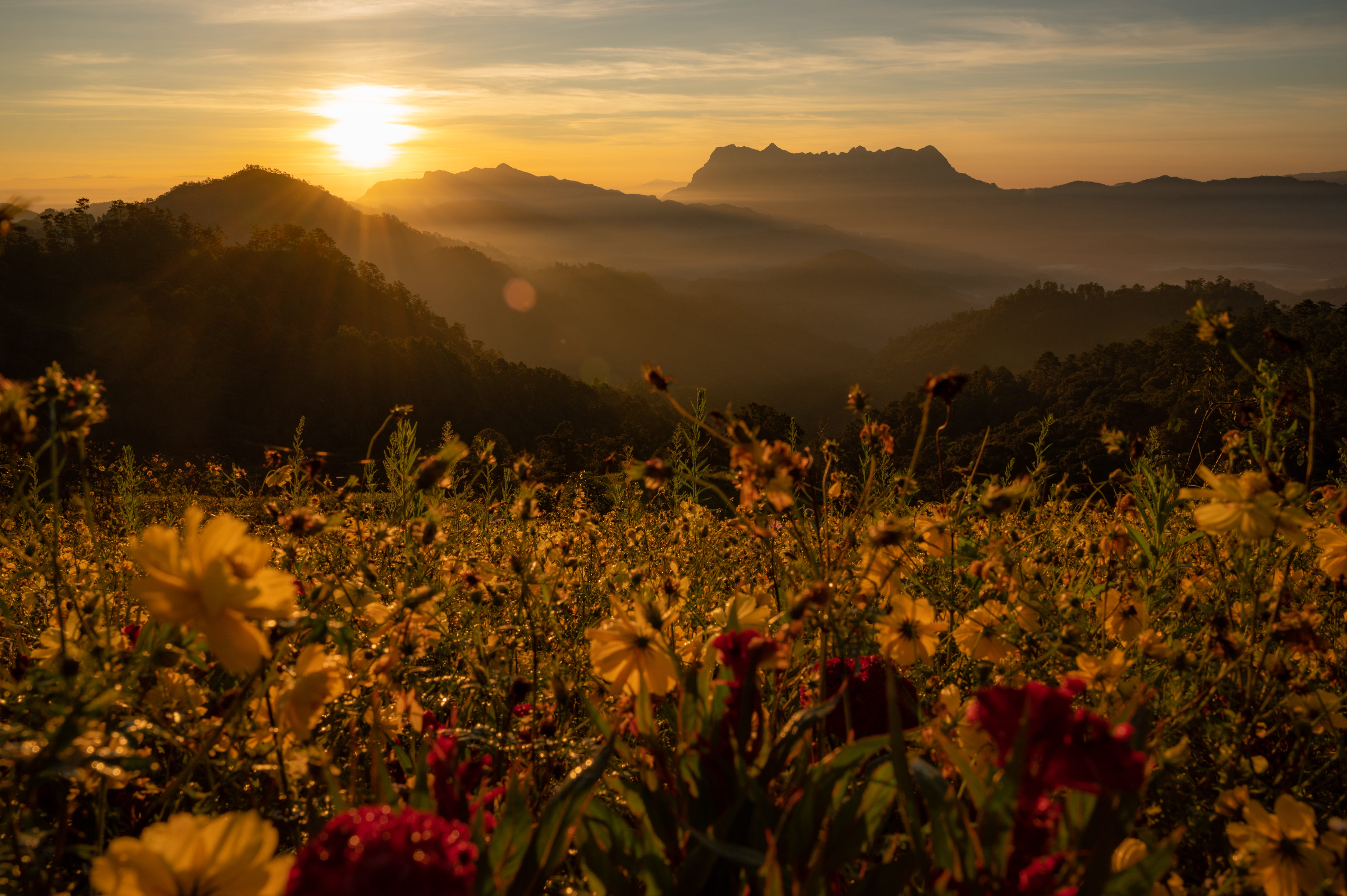 A Paucity of Hope - by Dan Rather and Elliot Kirschner