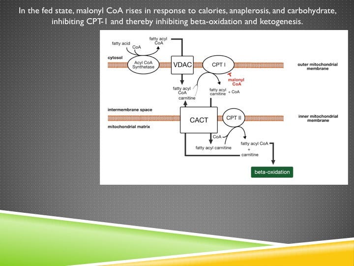 37. Inuit Genetics Show Us Why Evolution Does Not Want Us In Constant ...