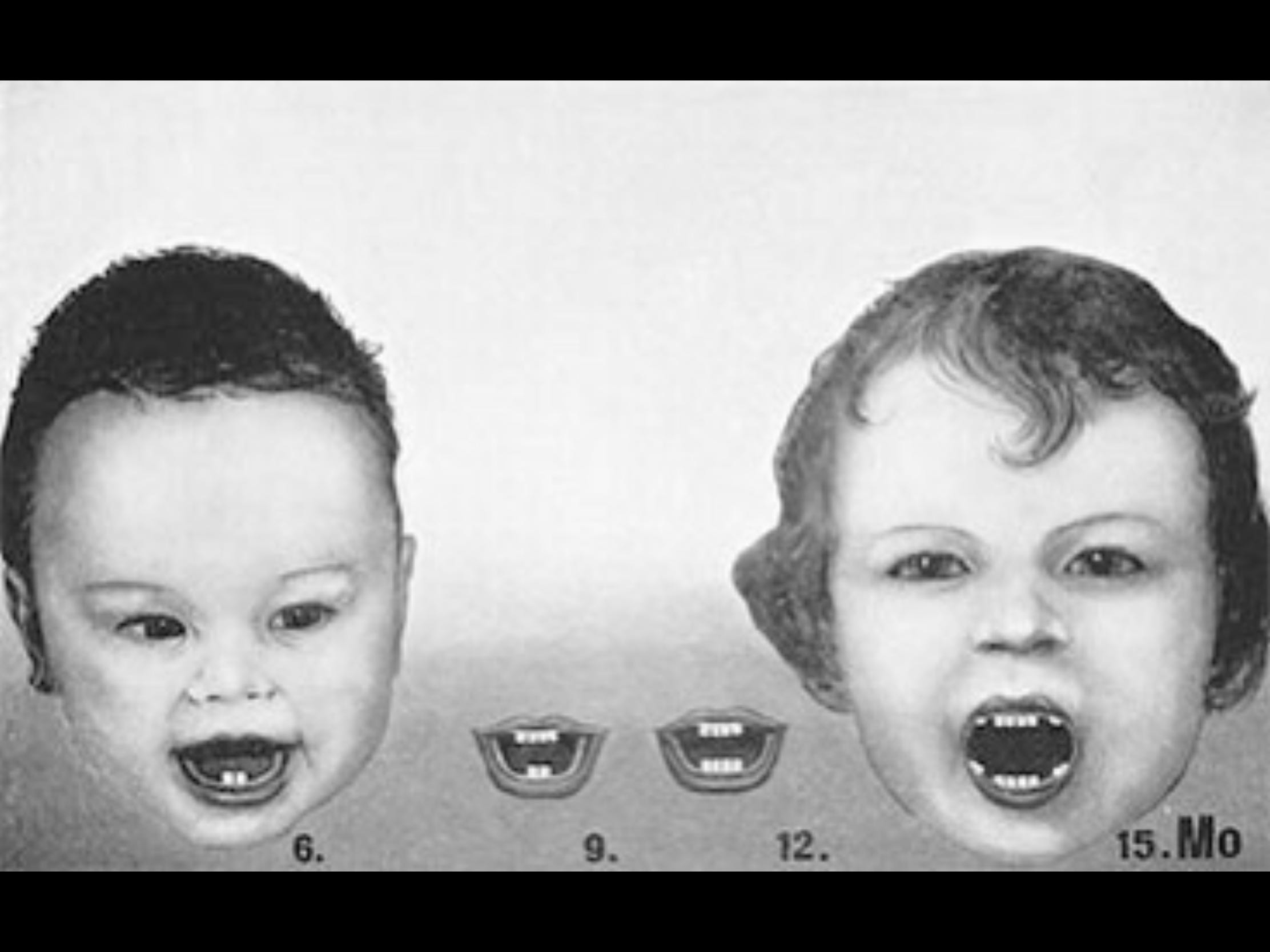 Jaw and Teeth = Breathing and Speaking - by Mercy