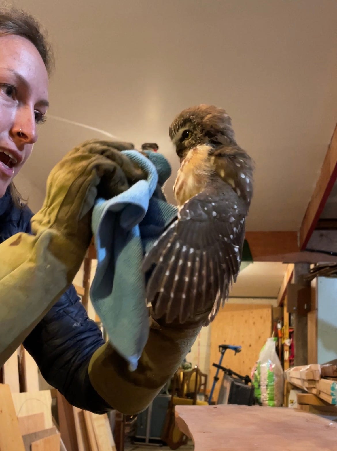 What do we let in? - #58 - by Kelton Wright - Shangrilogs