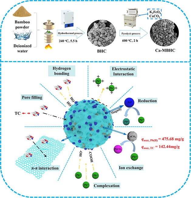 Biochar, hydrochar, or both?